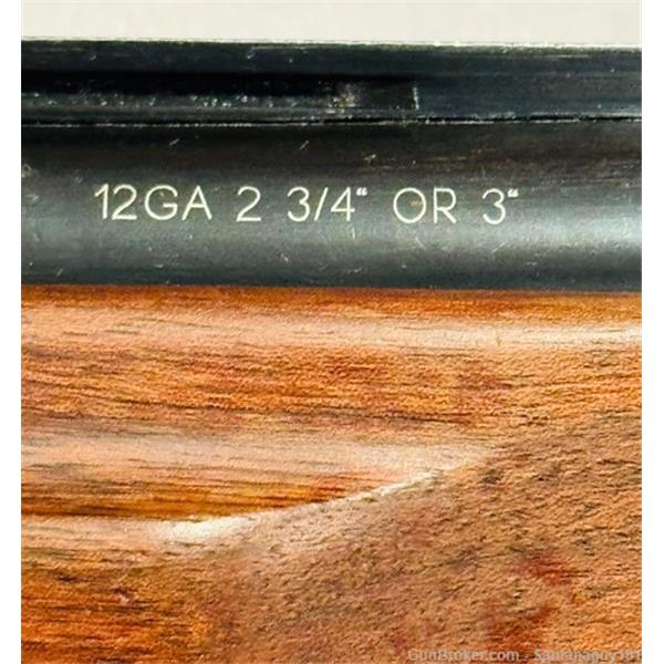 310 New and Used Price, Value, & Trends 2025