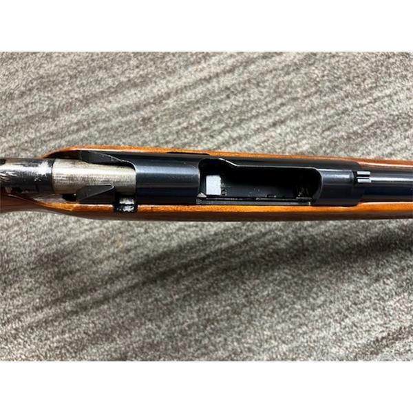 REVELATION New and Used Price, Value, & Trends 2025