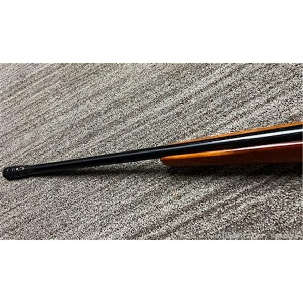 REVELATION New and Used Price, Value, & Trends 2025