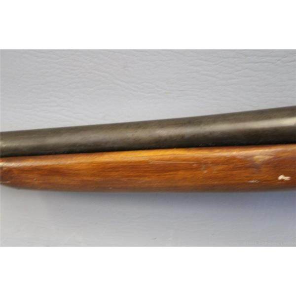 REVELATION New and Used Price, Value, & Trends 2025